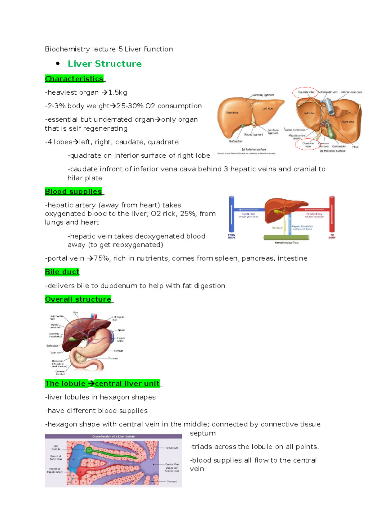 Lecture 5 liver - MEDS604 Biomedical Science year 3 - Biochemistry ...