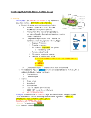 Microbiology Study Guide Part 3 - Prokaryotes NO true nucleus NO ...