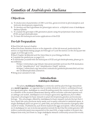 Biology Manual Notes - Biology Manual Notes Chapter 1: Lab Skills ...