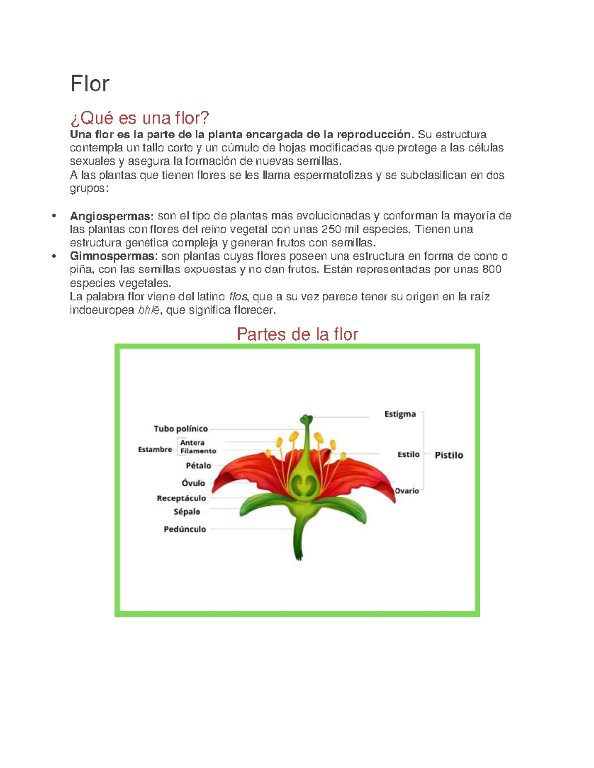 Clase viii flor - botanica general - ingenieria agronomica - Flor ¿Qué ...