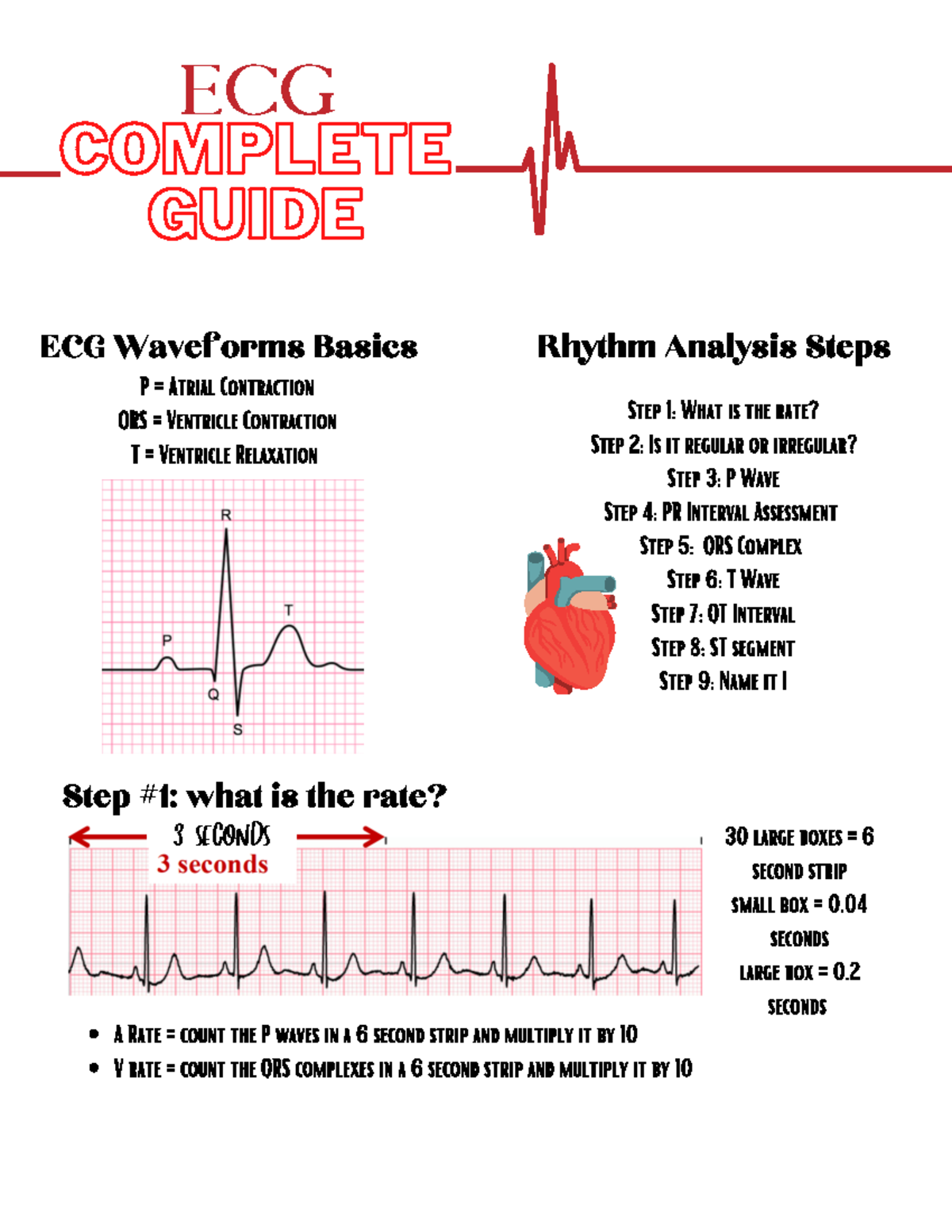 ECG Cadiovascular system notes for review - COMPLETE GUIDE 3 seconds ...