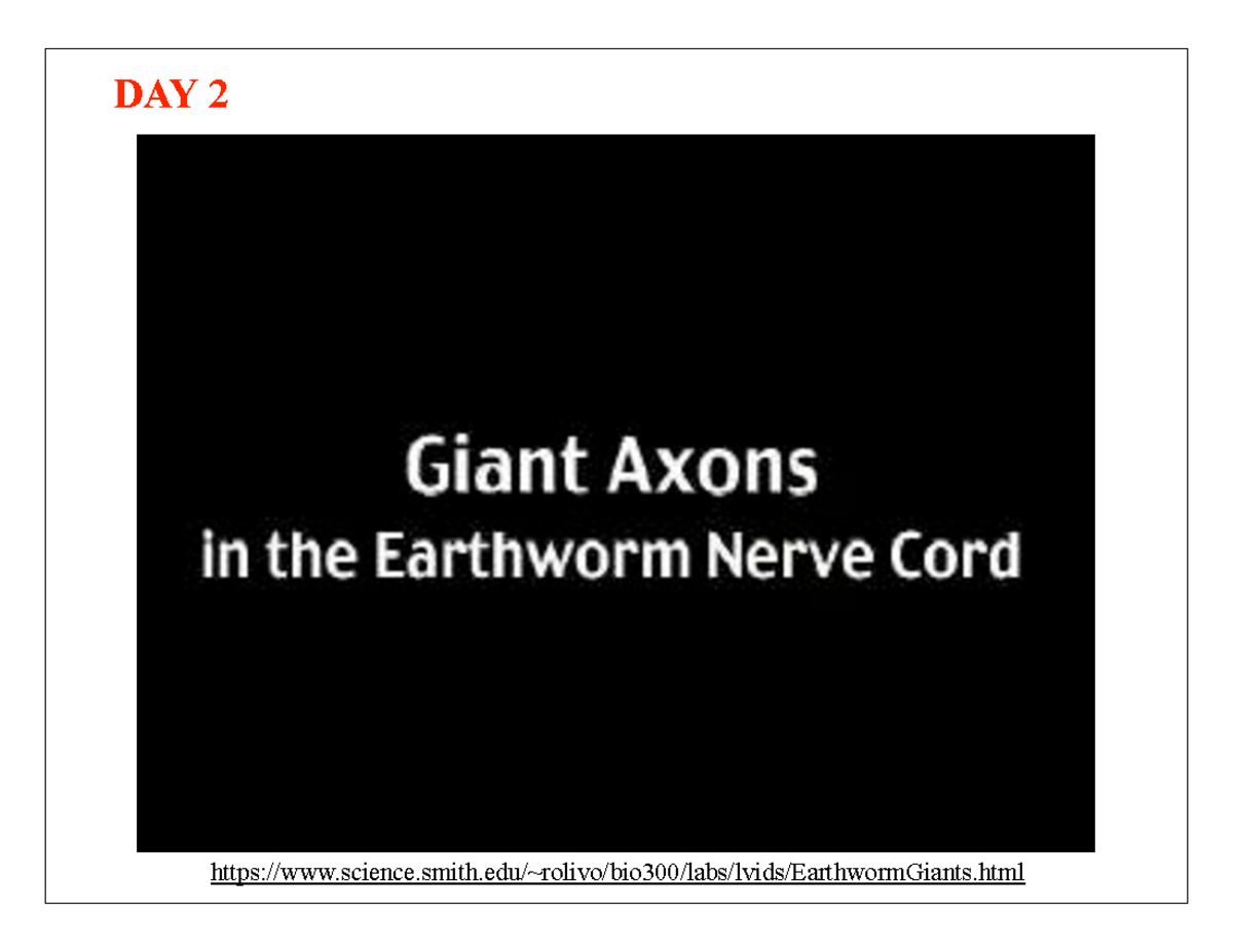120L Worm lab - DAY 2, W2024 Lecture Slides - Updated 1-28-2024 - - Studocu