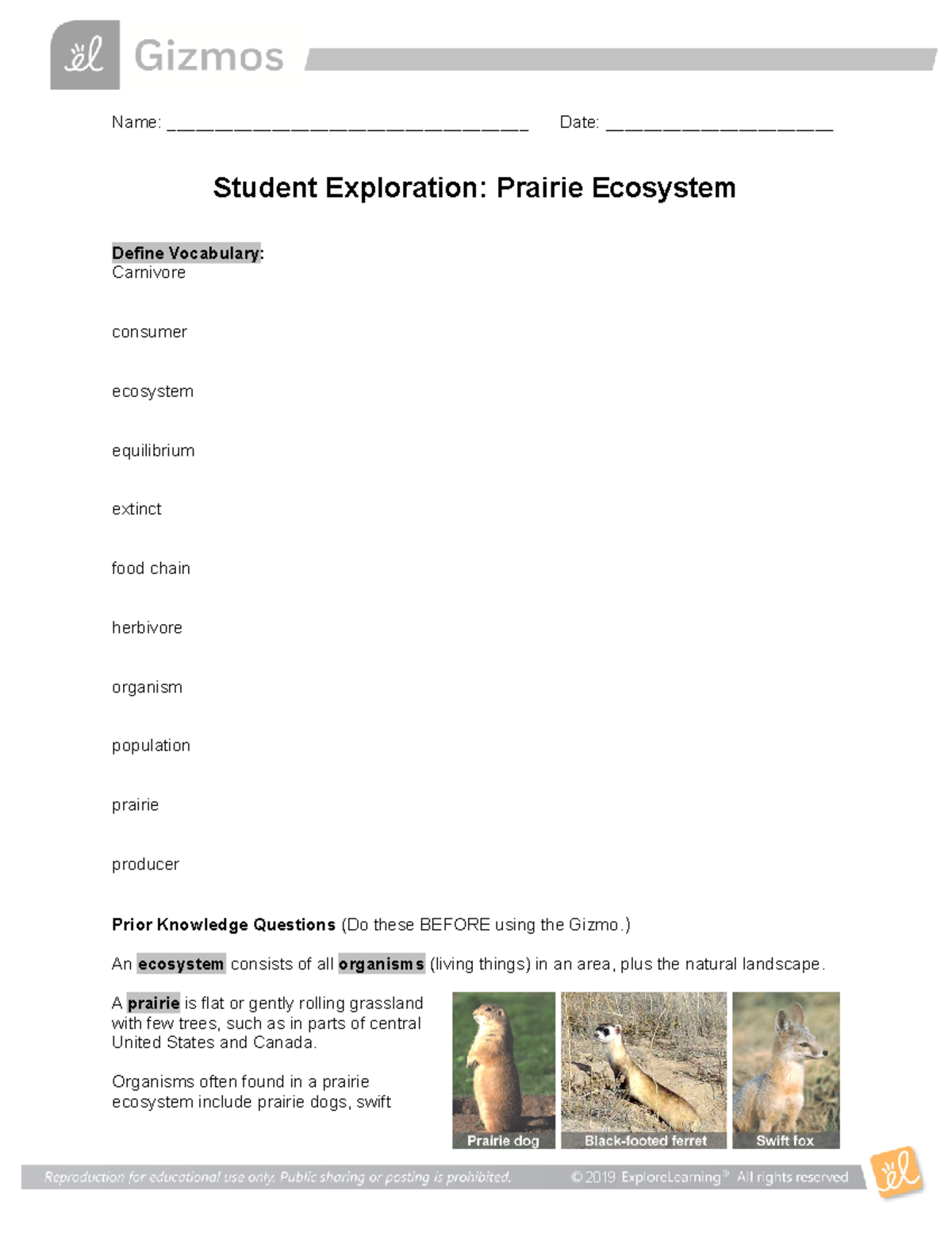 Prairie Ecosystem Gizmos - Name ...