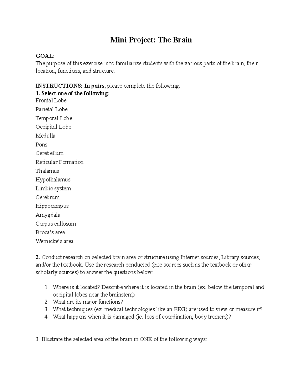 Mini Brain Project - assignment for participation - Mini Project: The ...