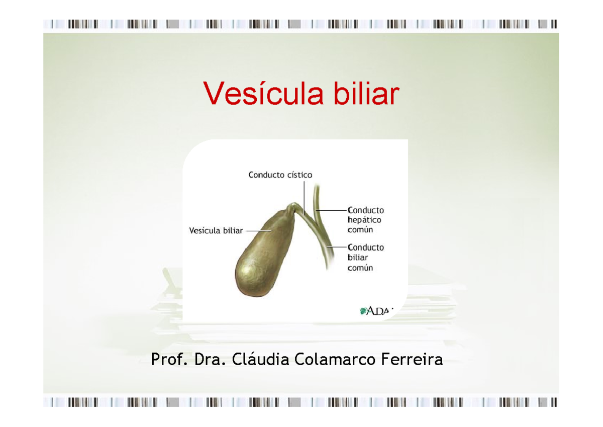 374401202-Vesicula-Biliar - Vesícula biliar Prof. Dra. Cláudia ...