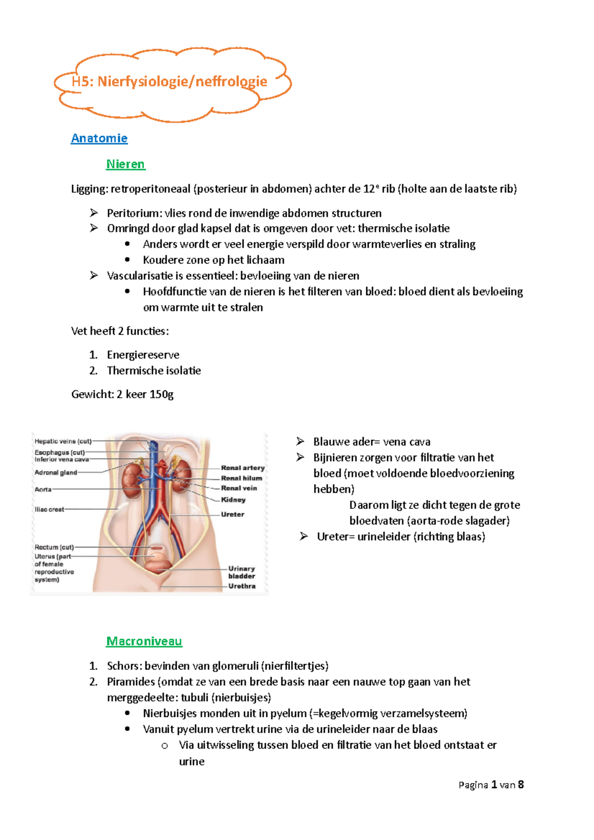 Les 7 fysio (neffrologie) - H5: Nierfysiologie/neffrologie Anatomie ...
