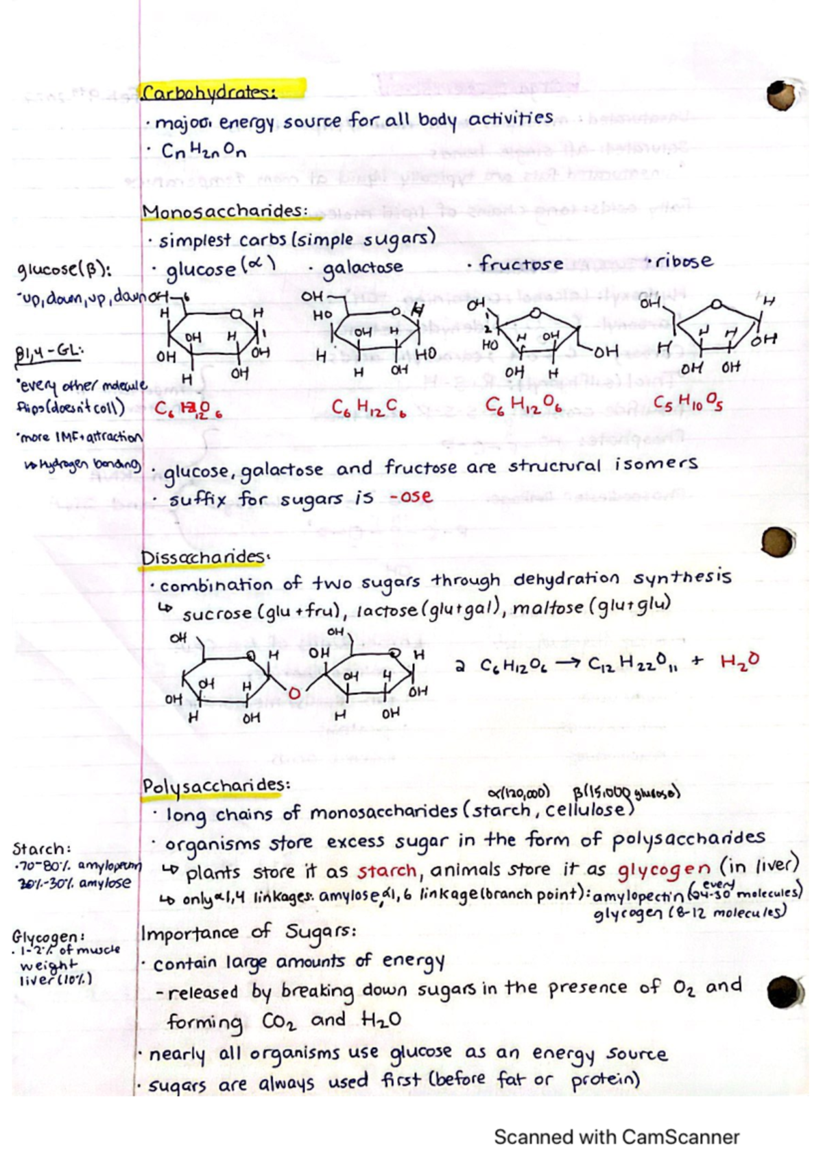 Carbohydrates - BIO1109 - Studocu