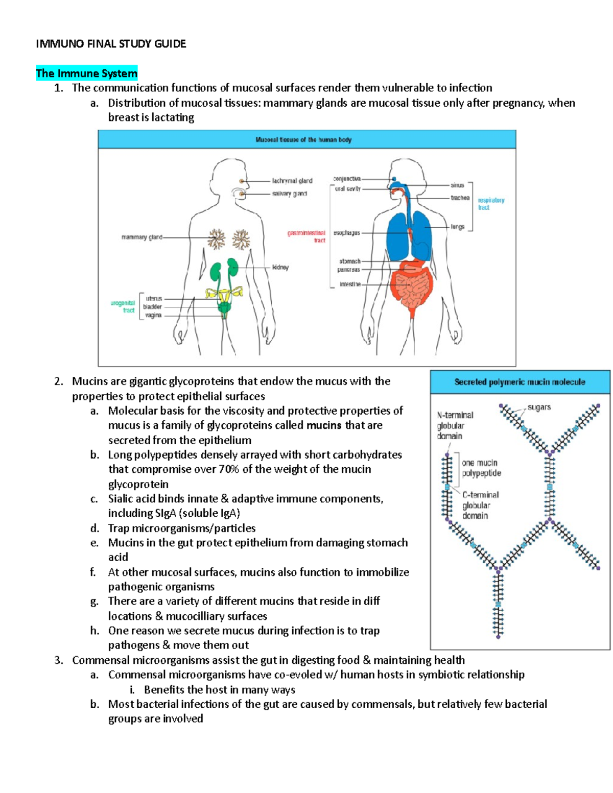 Immuno Final Study Guide - IMMUNO FINAL STUDY GUIDE The Immune System 1 ...