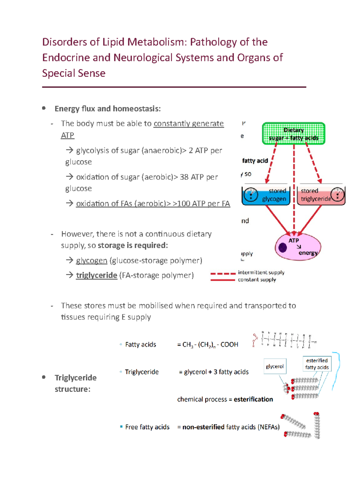 Disorders of Lipid Metabolism Pensoss - Disorders of Lipid Metabolism ...
