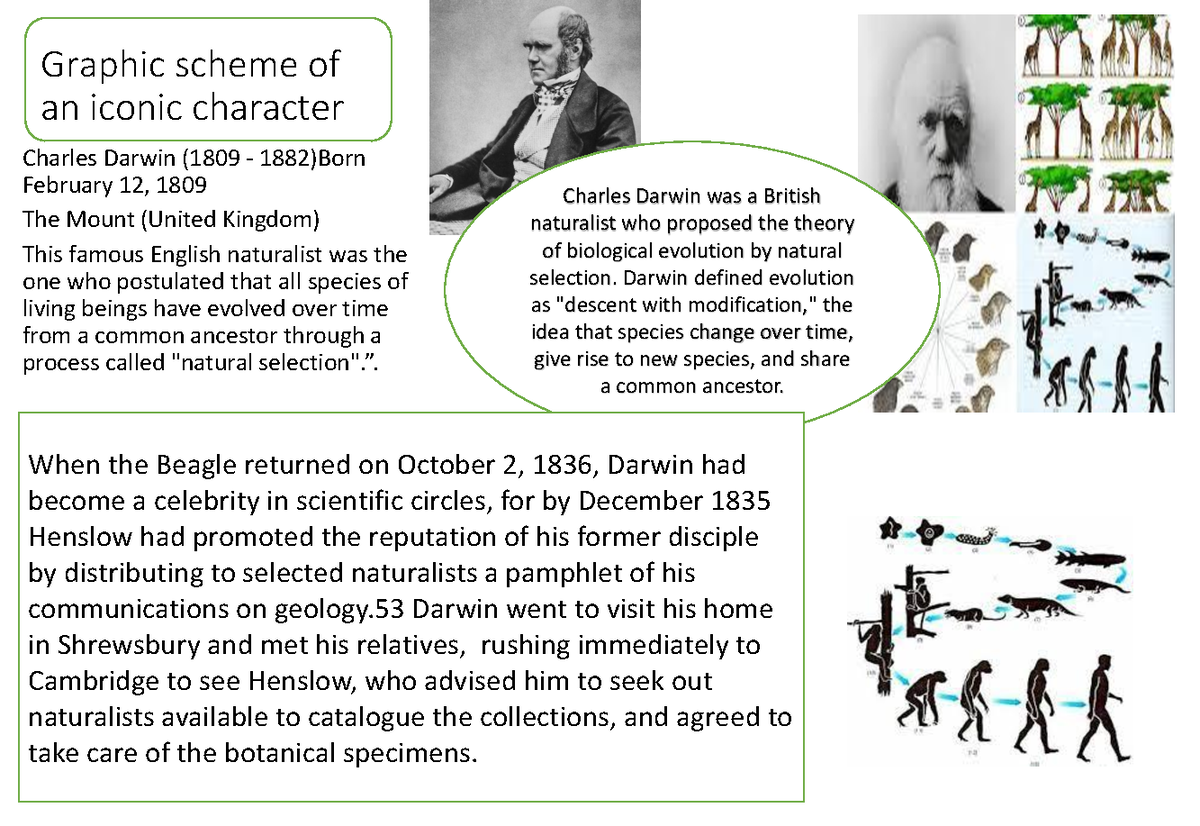 Esquema grafico - Graphic scheme of an iconic character Charles Darwin ...