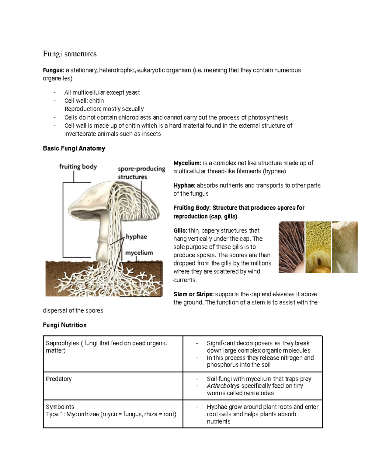 Bio - Study Guide - Diversity of Living Things-3 - Fungi structures ...