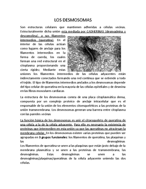 A05 Infografia - Propiedades eléctricas de la membrana celular ...