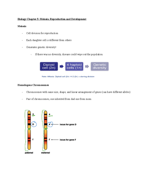 Biology Chapter 4 The Cell Cycle and Mitosis - Biology Chapter 4: The ...