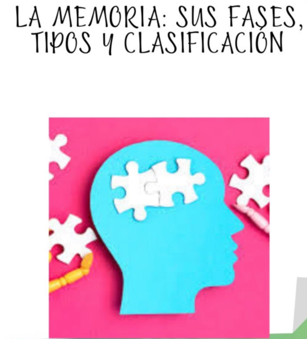Memoria fases y clasificación - Psicologia de l'Atenció i la Memòria ...