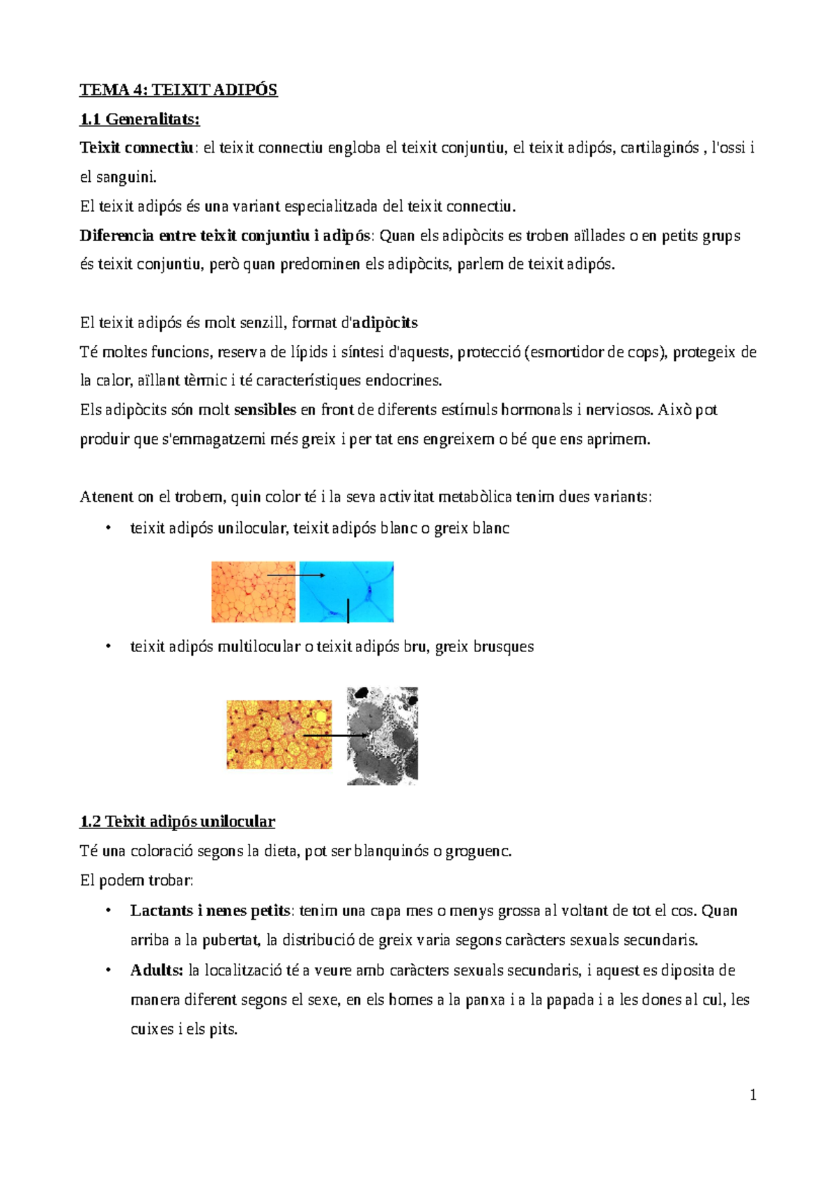 Tema 4: teixit adipòs - TEMA 4: TEIXIT 1 Generalitats: Teixit connectiu ...