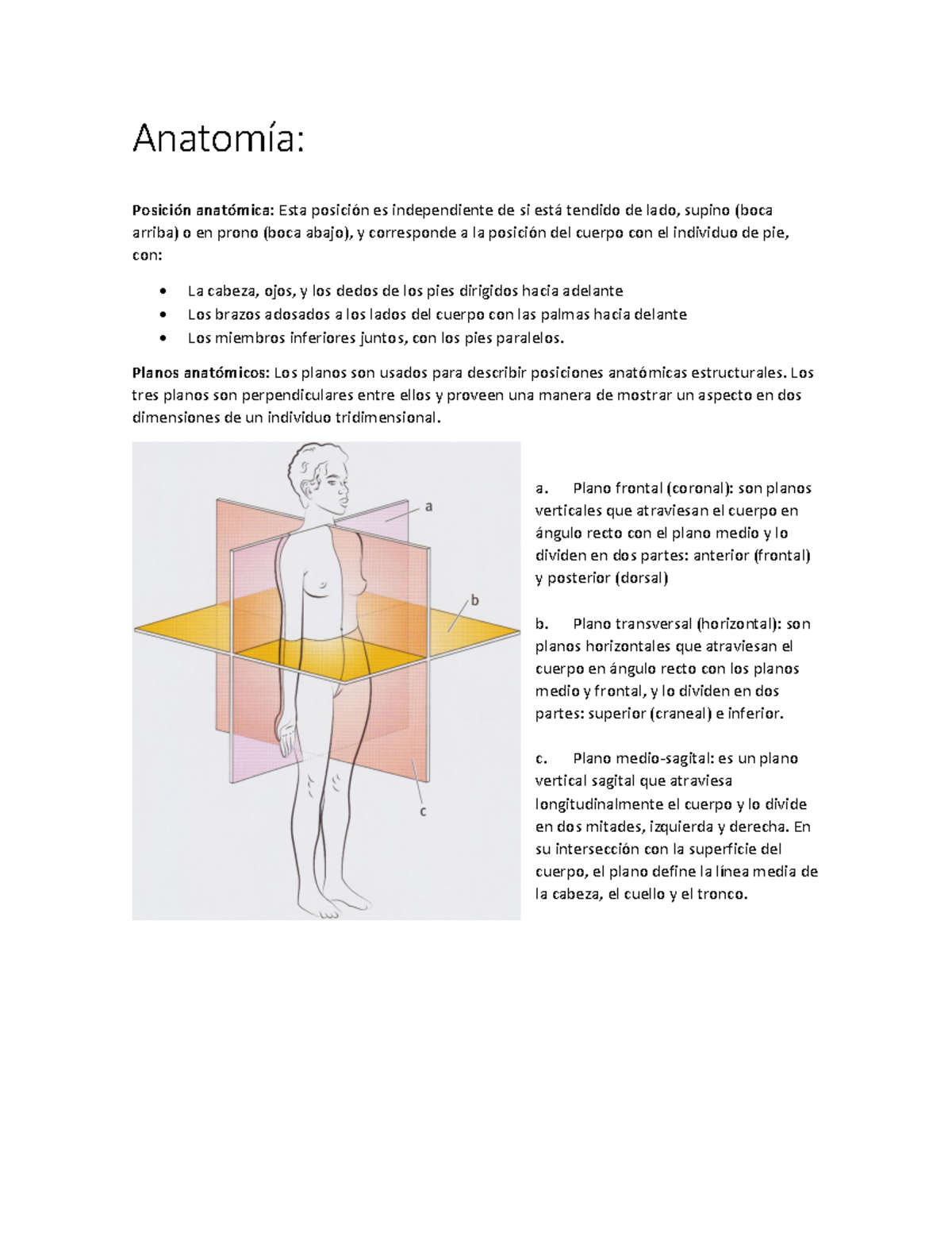 Generalidades de Anatomia - Warning: TT: undefined function: 32 Warning: TT: undefined function ...