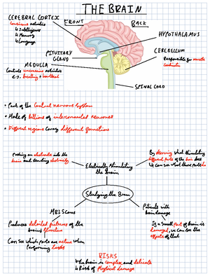 Edexcel GCSE Bioology Specification Notes - EDEXCEL GCSE BIOOLOGY ...
