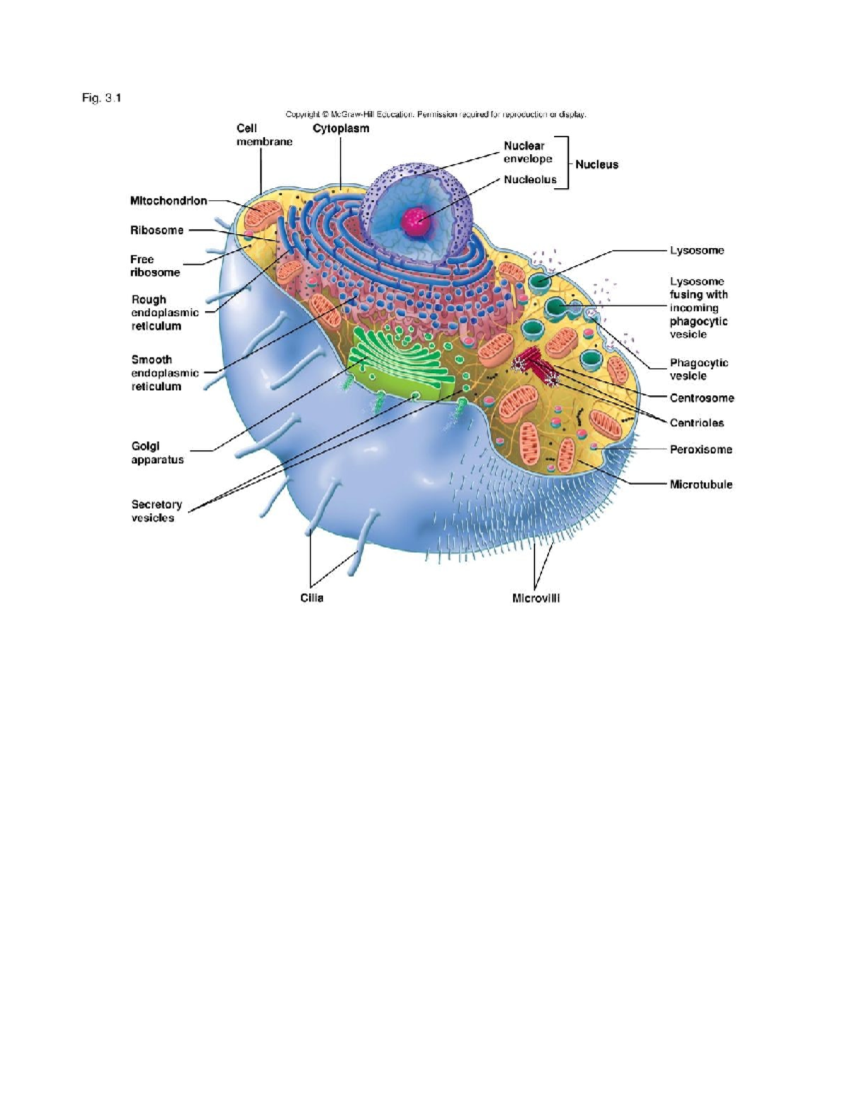 Ass 1 - jiadsjidfk - Fig. 3 Copyright Education. Permission required ...