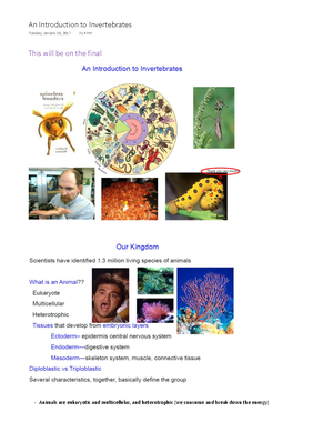 BIOL 1108 - Descent with Modification - Warning: TT: undefined function: 32 Warning: TT ...