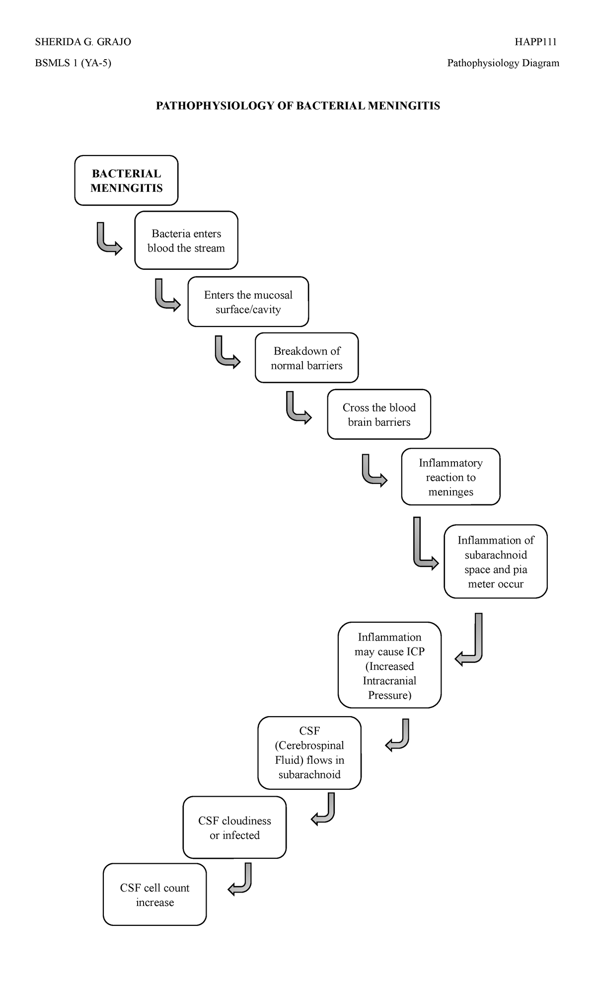 Pathophysiology Diagram - SHERIDA G. GRAJO HAPP BSMLS 1 (YA-5 ...