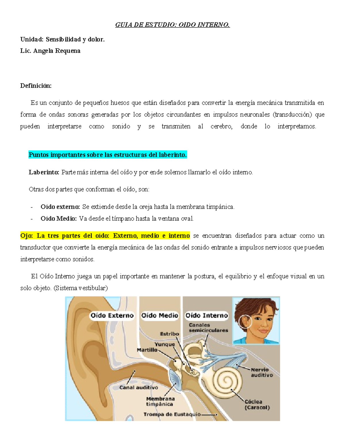 GUIA OIDO Interno - GUIA DE ESTUDIO: OIDO INTERNO. Unidad: Sensibilidad ...