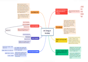 B1 Homeostatic Mechanisms Mindmap - Studocu
