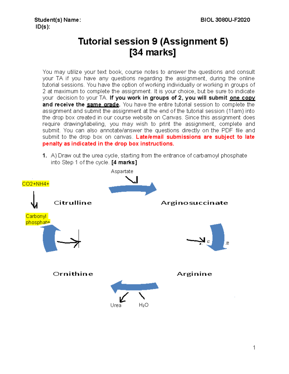 Tutorial 5 Assignment - Tutorial session 9 (Assignment 5) [34 marks ...