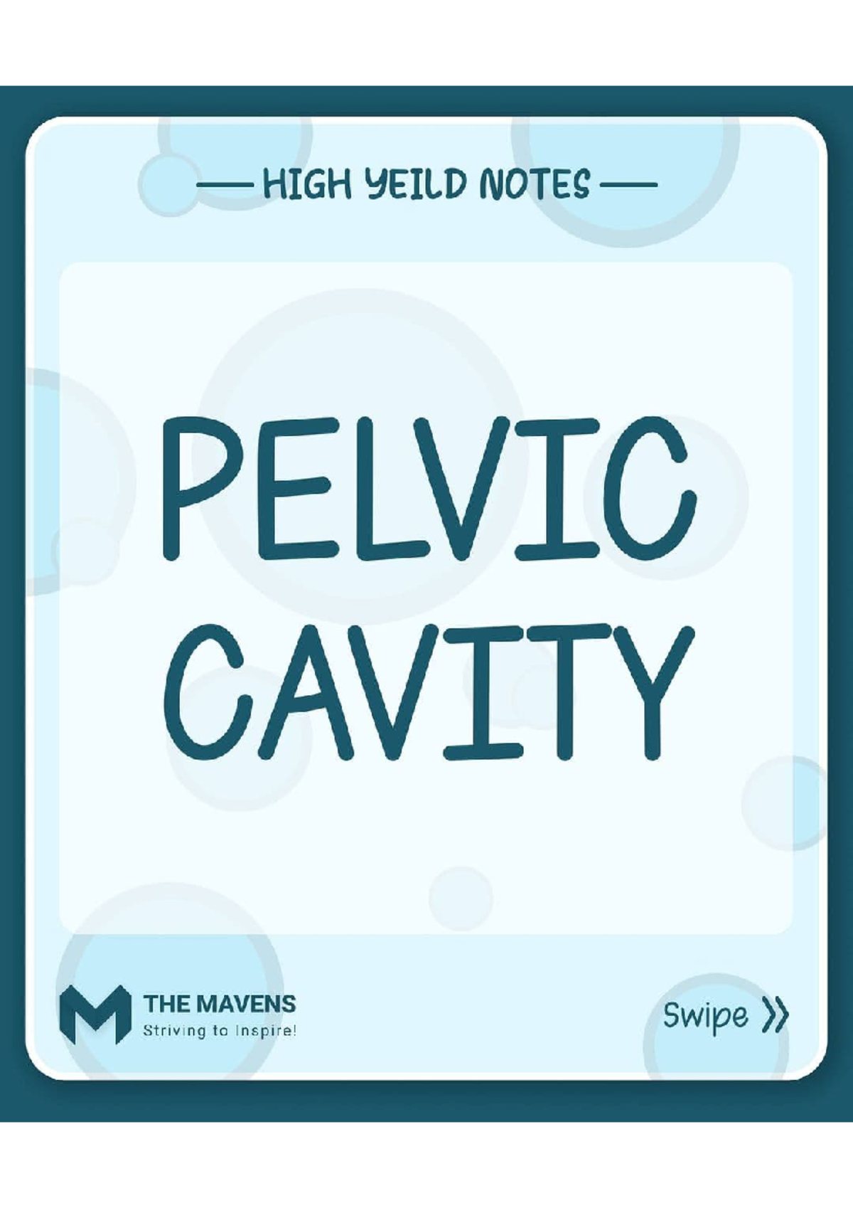 Pelvis Anatomy~High Yield Notes (Compiled from Mavens IG) - HIGH YEILD ...