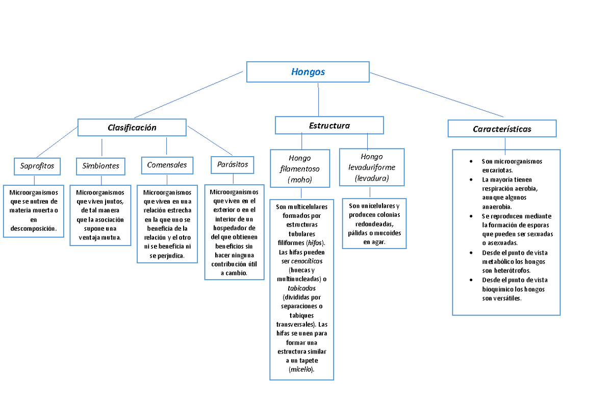 Mapa hongos Mi Me - Cjcjckgkvjxjc - Hongos Clasificación Estructura ...