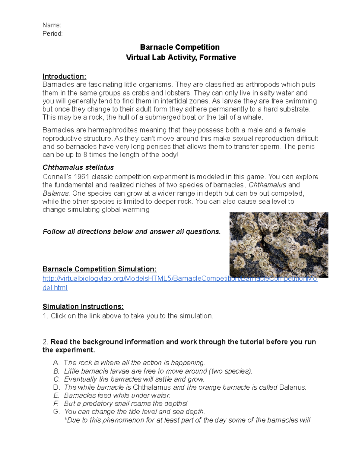 Barnacle Competition - Virtual Lab Activity - Name: Period: Barnacle ...