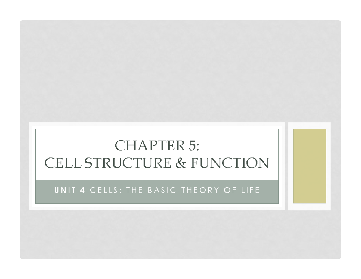 6.3 cell structure function & organelles ppt - UNIT 4 CELLS: THE BASIC ...