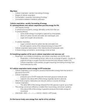 Chapter 5- the working cell - Big ideas - Membrane structure and ...