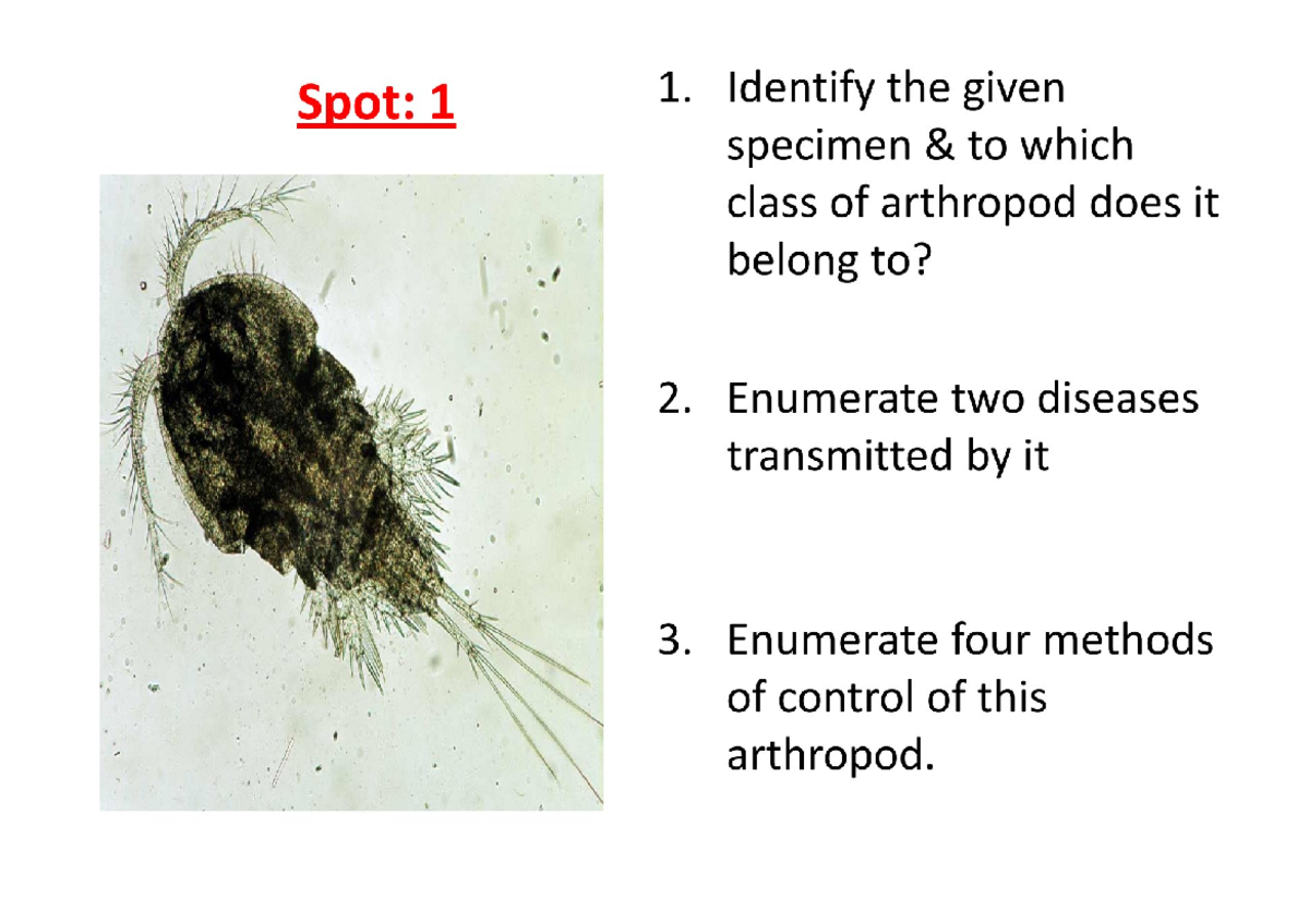 PSM Spotting - Psm spotters - Medical course - Studocu