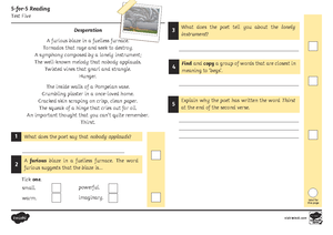 5-for-5 Reading Test Pack 2 Adult Guidance - visit twinkl Year 6 SATs ...