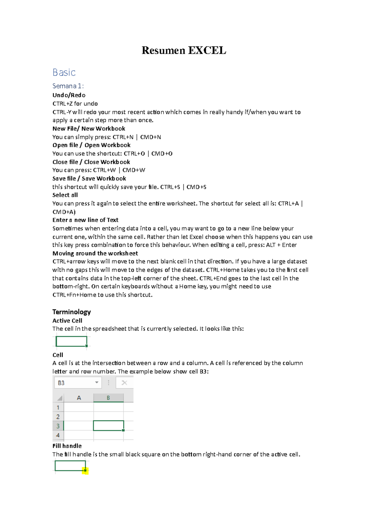 Summary - el examen final es en español!!! - Resumen EXCEL Basic Semana ...
