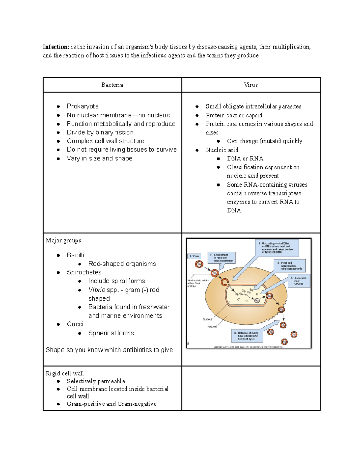 Copy of Bacteria vs virus - Infection: is the invasion of an organism's ...