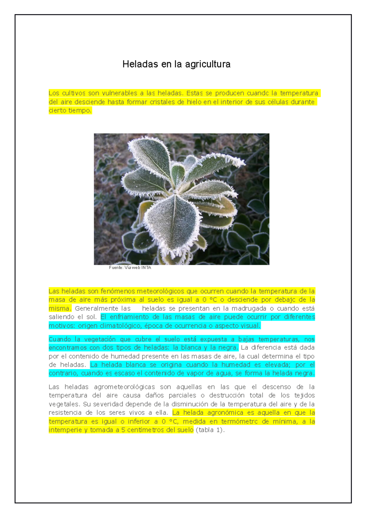 Heladas en la agricultura - Estas se producen cuando la temperatura del ...
