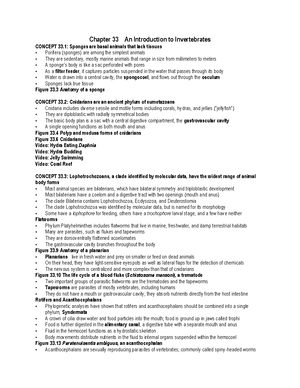 Concert report example for Music Appreciation - Please attach a signed ...