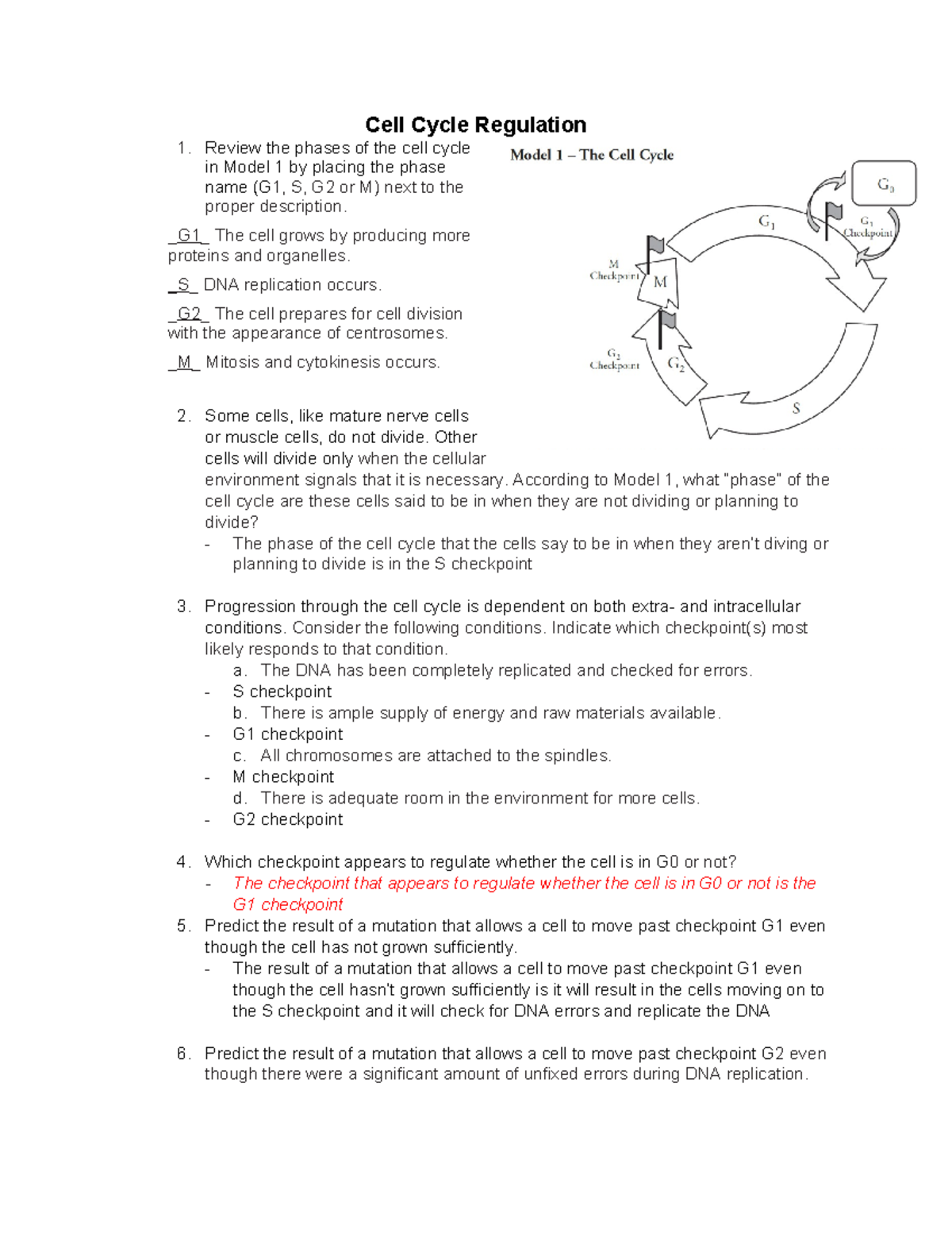 BIO 151 Recitation Cell Cycle Regulation - Cell Cycle Regulation Review ...
