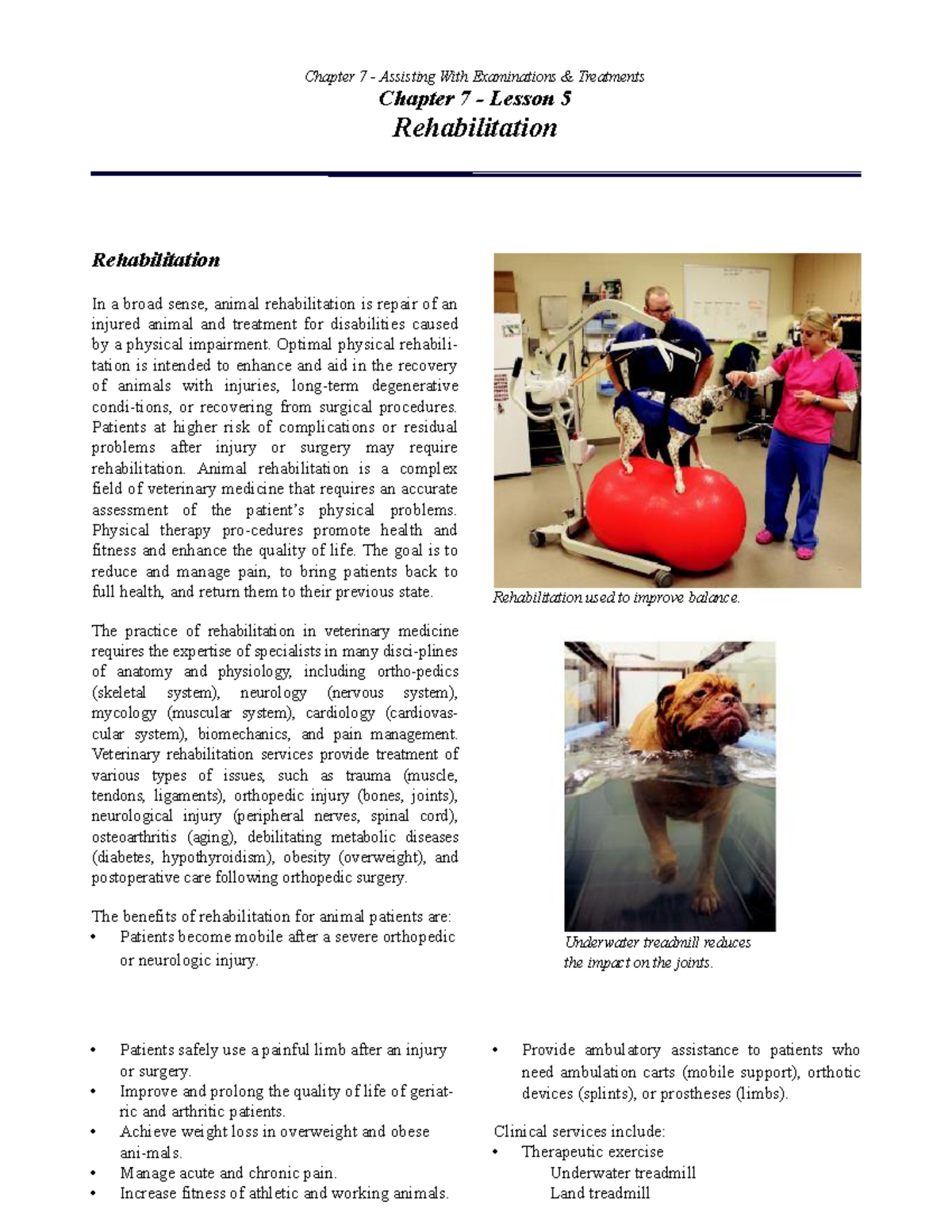 Ch07-05 Rehabilitation - Chapter 7 - Assisting With Examinations ...