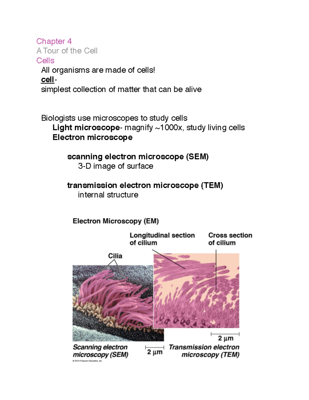 Biol chap 4 - Lecture notes chapter 4 - Chapter 4 A Tour of the Cell ...