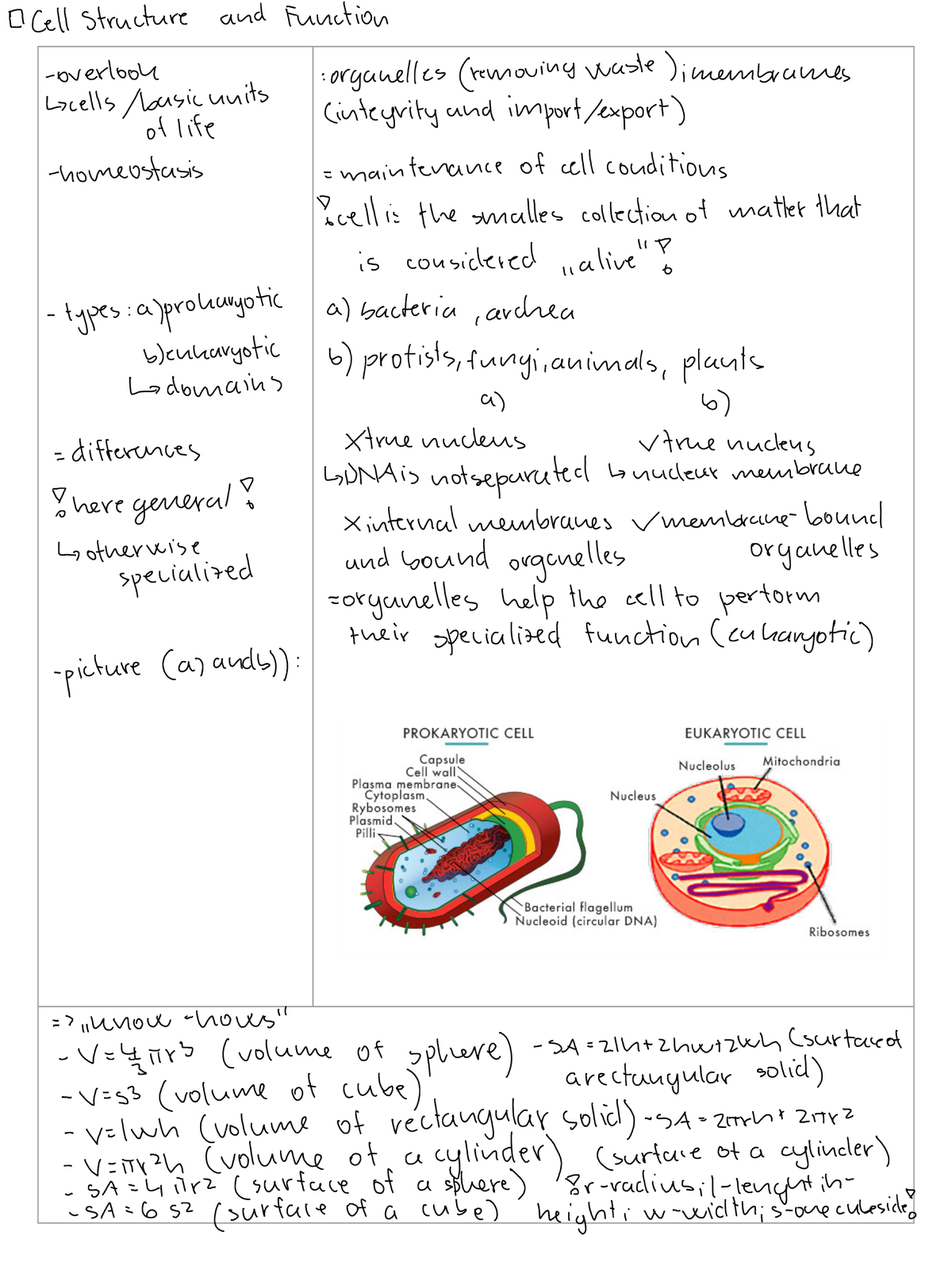 02.01 - Cell Structure and Function - Ship Stability - Studocu