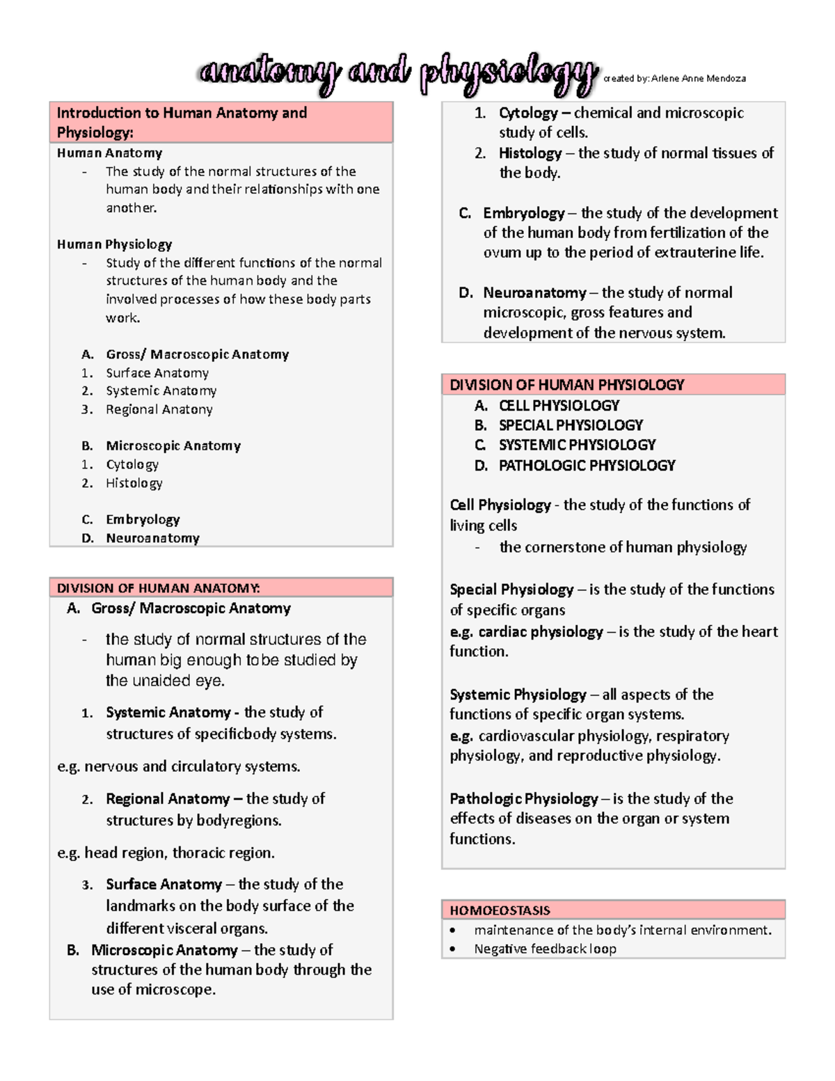 Anaphy 111 2 - BSN - ANATOMY AND Physiology created by: Arlene Anne ...