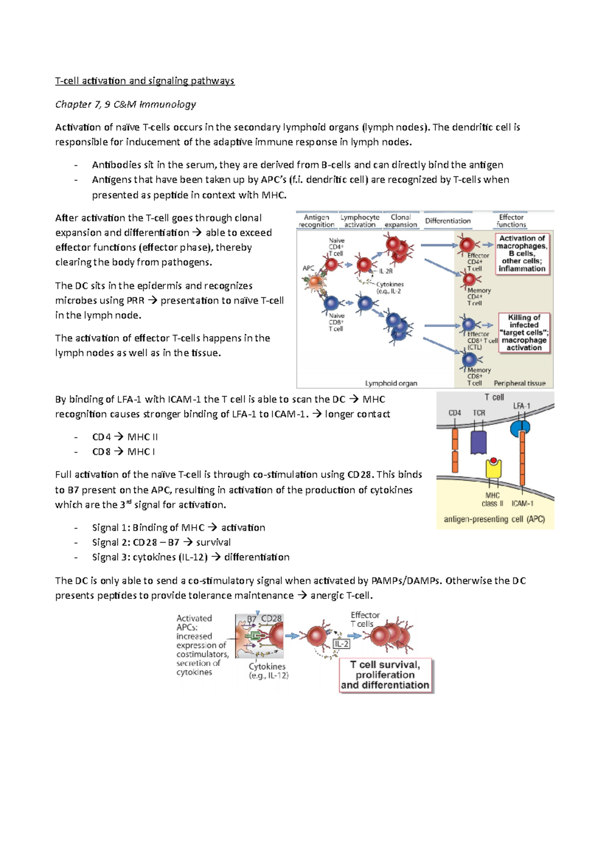 T-cell activation and signaling pathways - activation and signaling ...