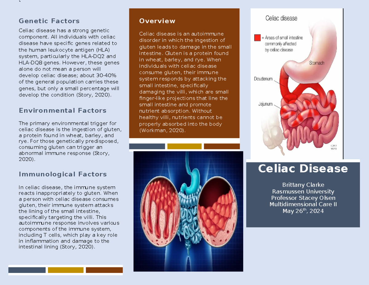 Digestive Poster - ` Genetic Factors Celiac disease has a strong ...