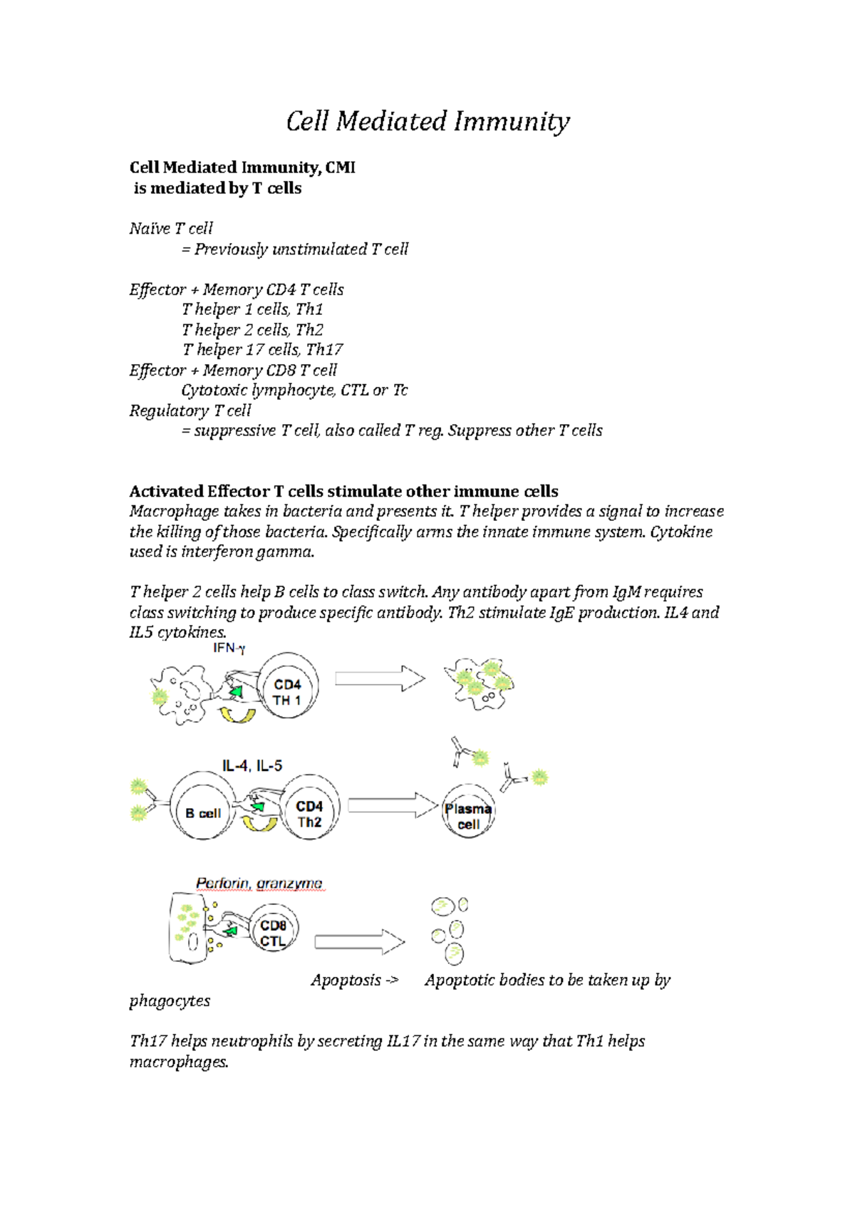 Cell Mediated Immunity - Cell Mediated Immunity Cell Mediated Immunity ...