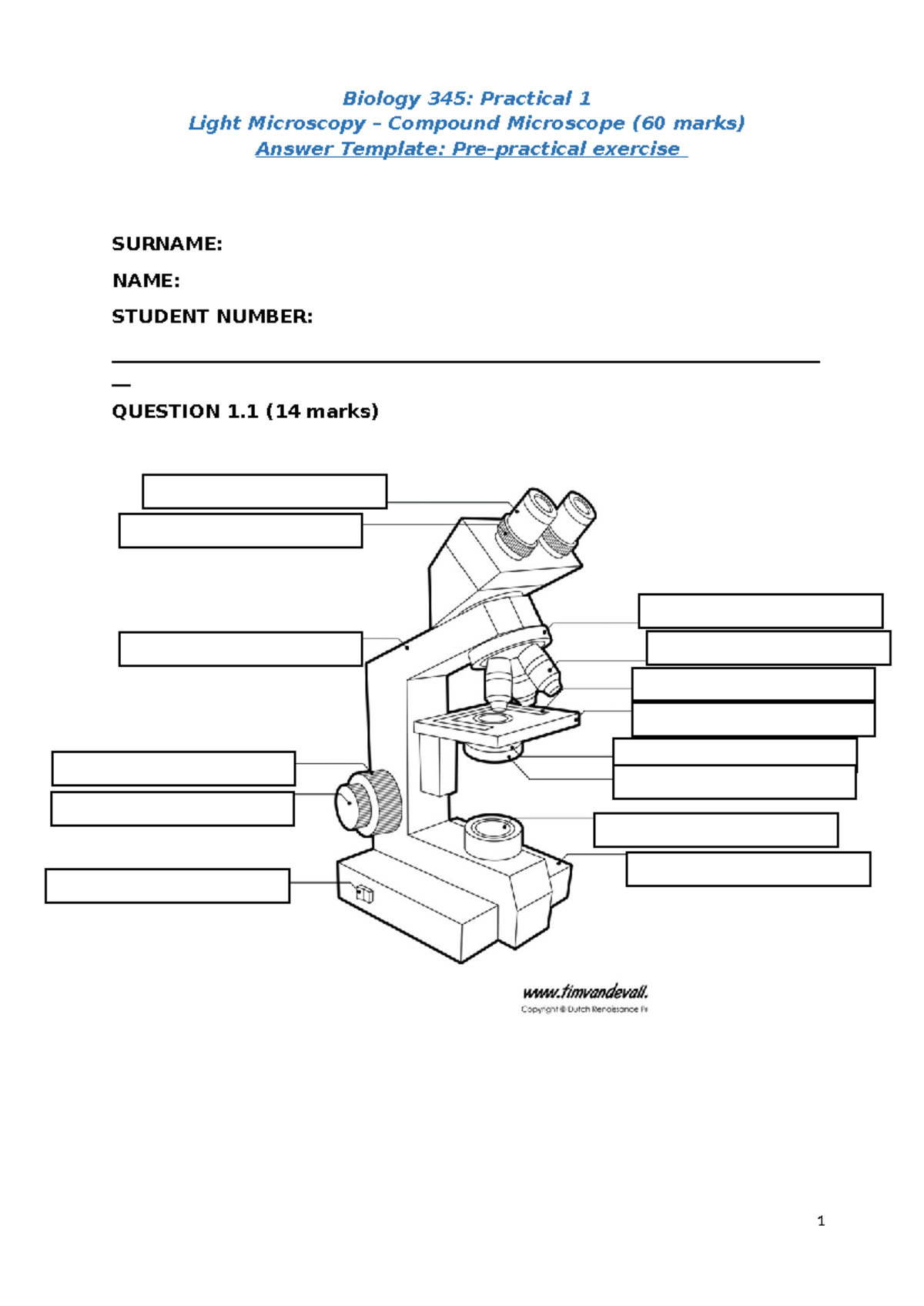 Prac 1 Light Microscopy 2024 template - BIOL 345 - Biology 345 ...
