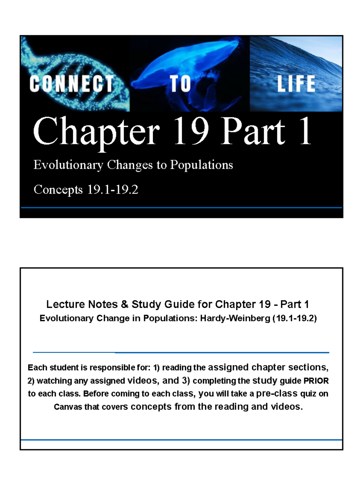 Chapter 19 Part 1 Worksheet and Study Guide Summary - Chapter 19 Part 1 ...
