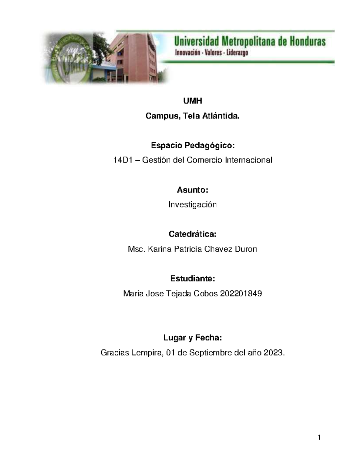 Investigacion cualitativa - UMH Campus, Tela Atlántida. Espacio ...