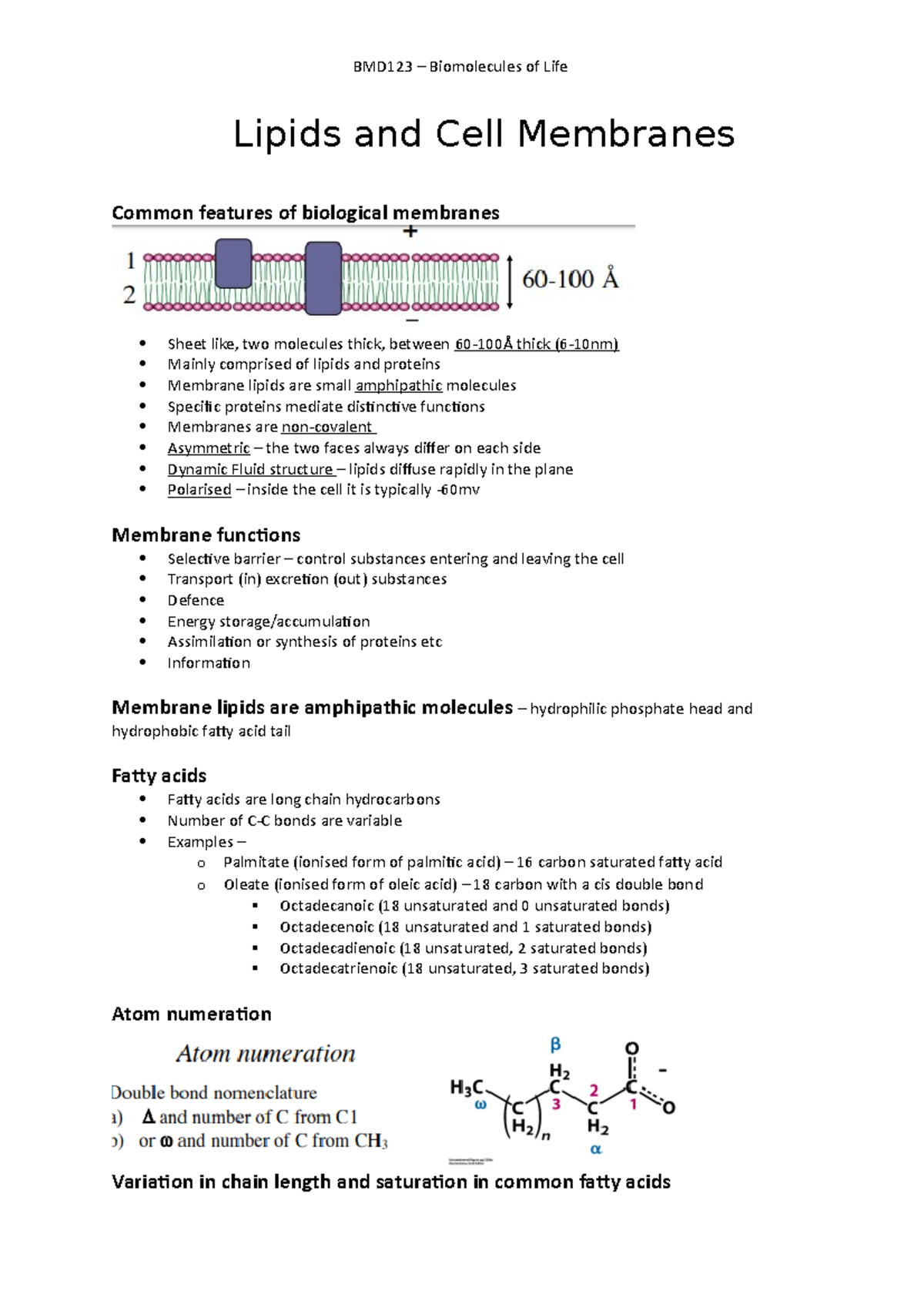 12.02.19 - Lipids - Lecture notes 10 - Lipids and Cell Membranes Common ...
